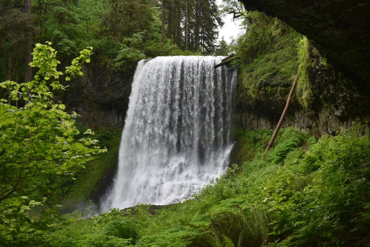 Day-Trip: 10 Waterfalls at Silver Falls State Park - The Dundee